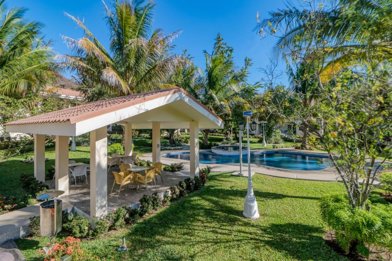 OASIS TROPICAL, COCO